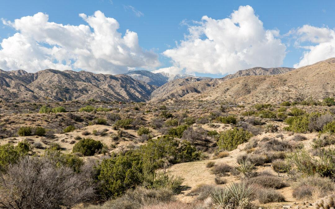 SOLD: 60660 Birdie in Landers | The Good Life High Desert